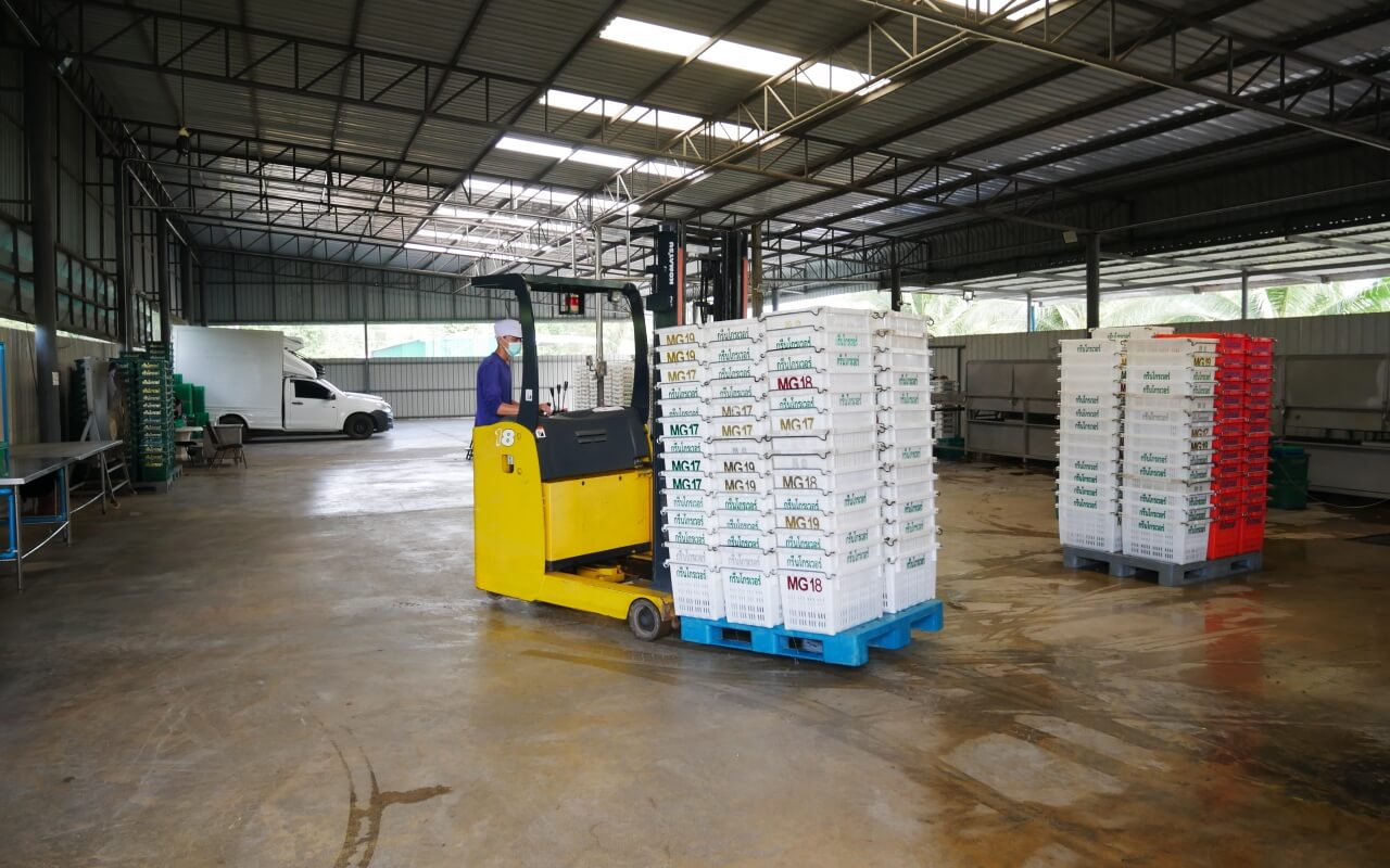 Greengrower Growing Green for Clean Product – Okra | Baby Corn | Fresh ...