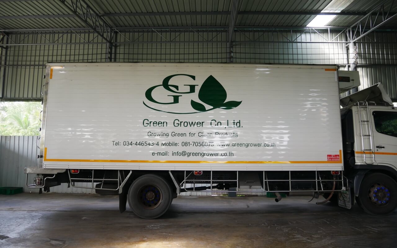 Greengrower Growing Green for Clean Product – Okra | Baby Corn | Fresh ...