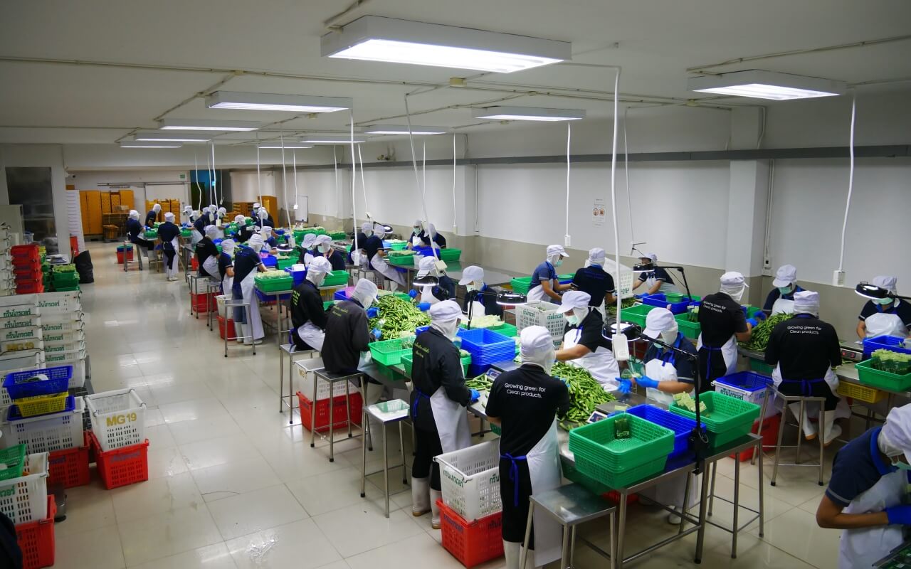 Greengrower Growing Green for Clean Product – Okra | Baby Corn | Fresh ...