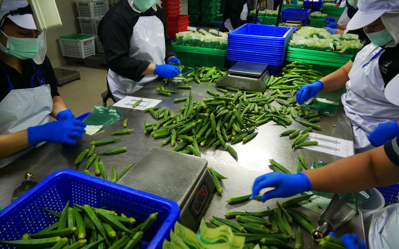 Greengrower Growing Green for Clean Product – Okra | Baby Corn | Fresh ...