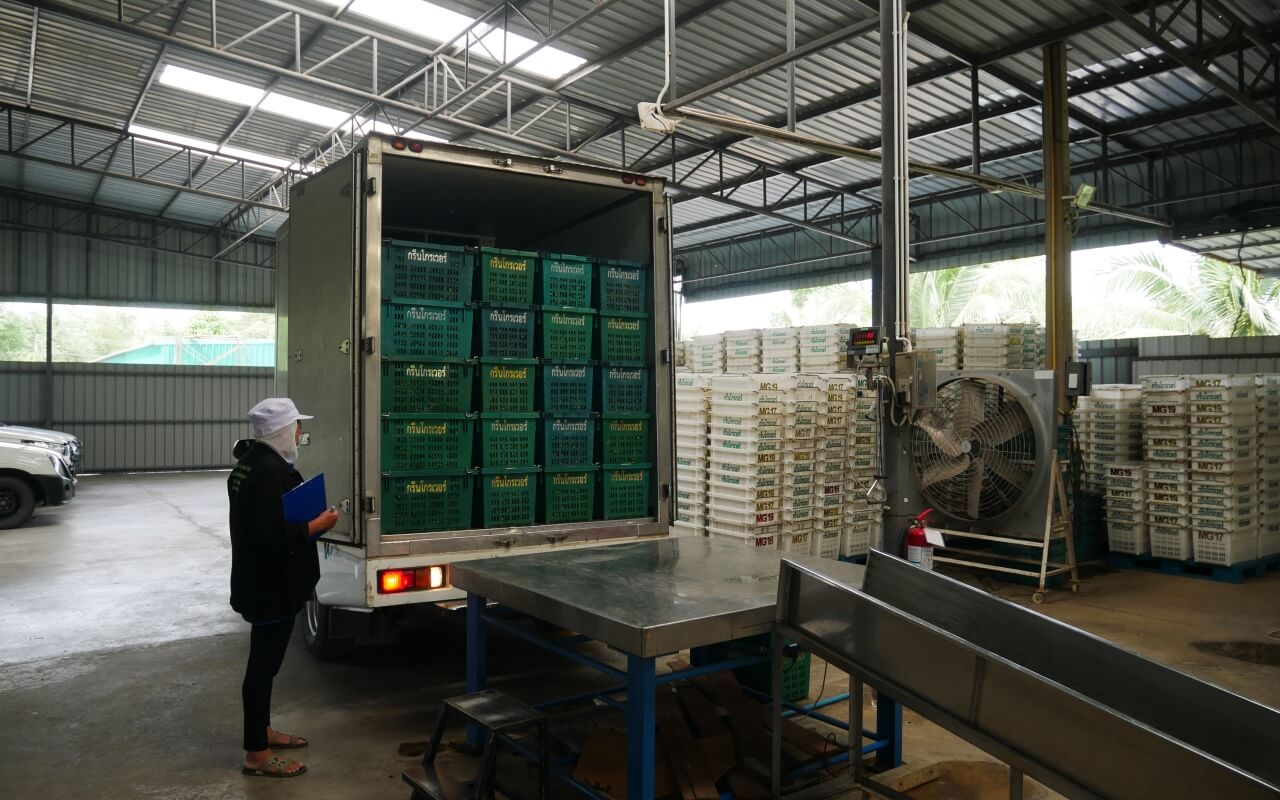 Greengrower Growing Green for Clean Product – Okra | Baby Corn | Fresh ...