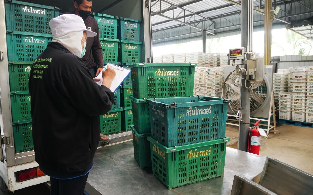 Greengrower Growing Green for Clean Product – Okra | Baby Corn | Fresh ...