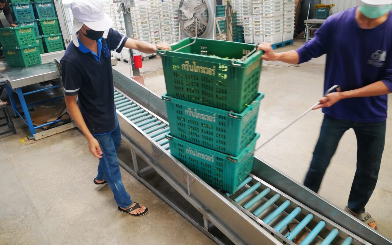 Greengrower Growing Green for Clean Product – Okra | Baby Corn | Fresh ...